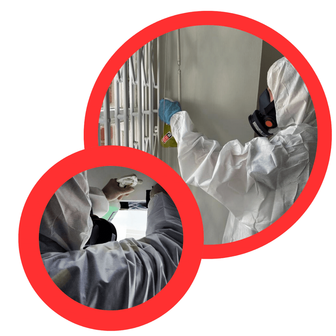 Asbestos Surveys Re Inspection Management Surveys